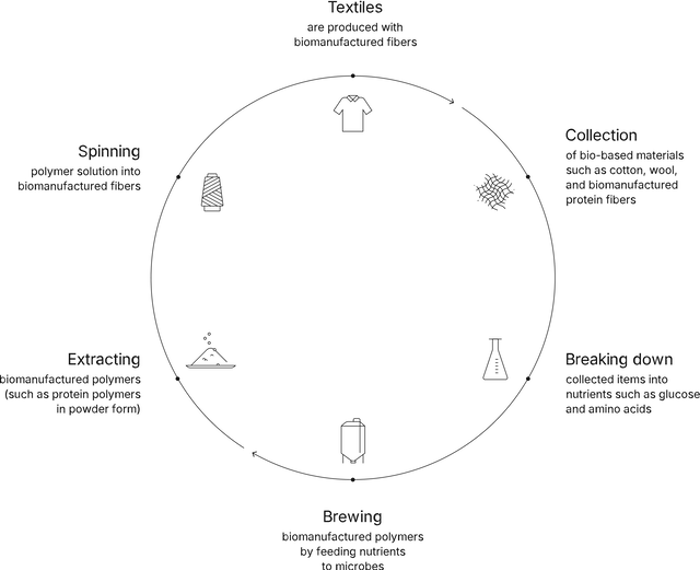 BioCircular Materials Alliance | Redefining Natural Fiber & Biomass Circularity