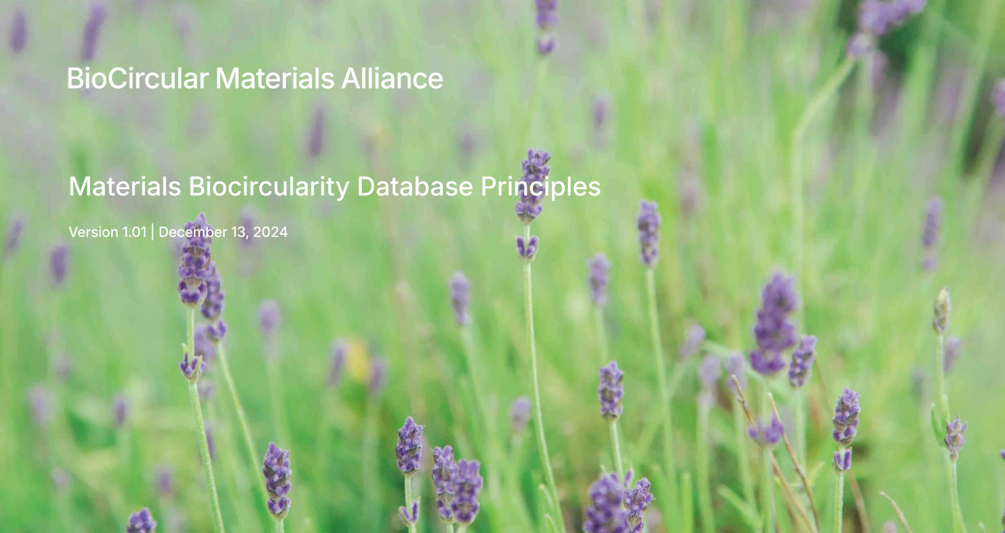 BioCircular Materials Alliance | Redefining Natural Fiber & Biomass Circularity